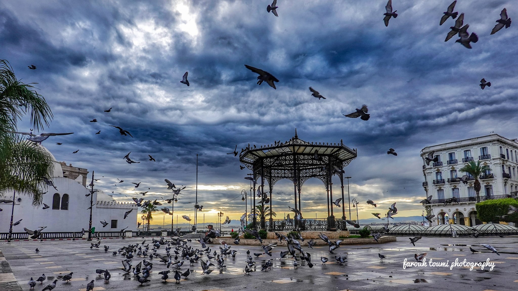 « Lire » Alger avec l’œil du photographe - MYALGERIA